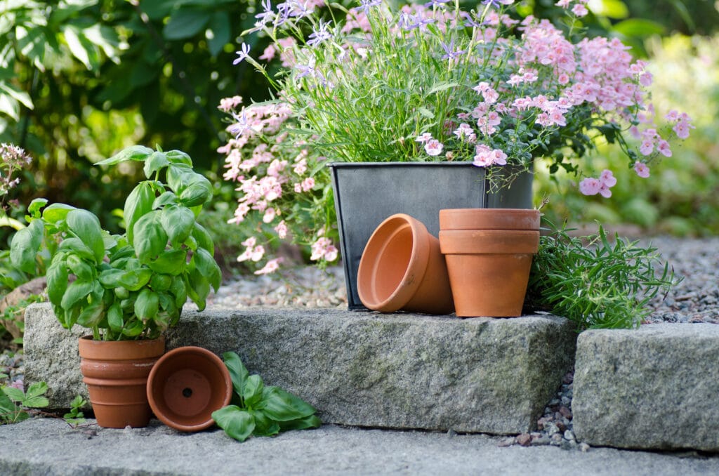 Educational Garden Related Links | Houston Texas