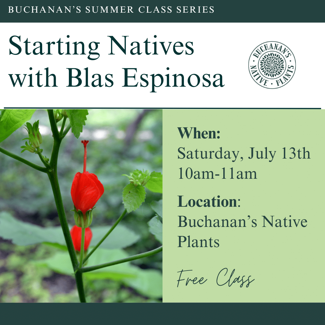 Events and Seminars at Buchanan's Native Plants